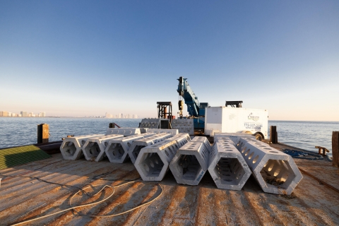 College of Engineering | University of Miami